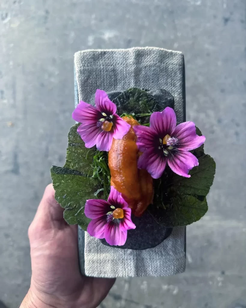 Boragó Restaurant in Santiago: Chilean Native Fine Dining