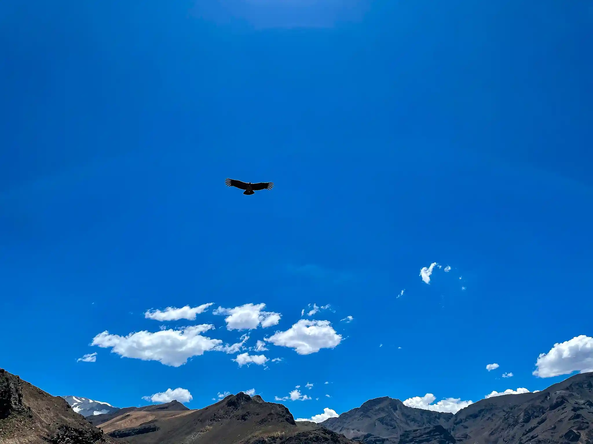 Half-Day Andes Tour from Santiago – Private & Scenic